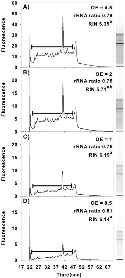 Representative Electropherograms Of Total Rna From ~45 A 2 B 1