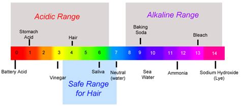 The Ph Of Your Shampoo And Conditioner Timelesslymirna