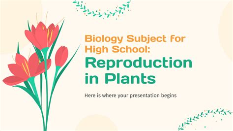 Presentation On Female Reproductive System