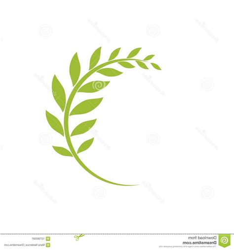 Curved Leaf Vector At Collection Of Curved Leaf