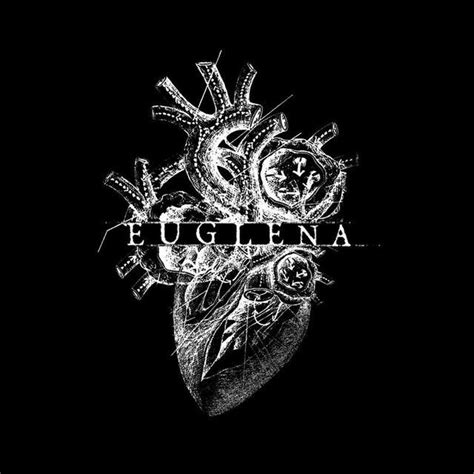 Euglena Songs Events And Music Stats