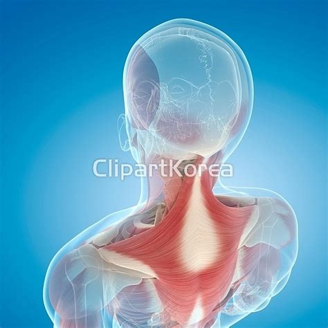 해외작가포토 클립아트코리아 통로이미지주