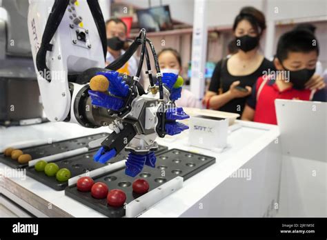 Peking China 19 August 2022 Ein Roboter Sortiert Gemüse Und Obst Auf Der World Robot
