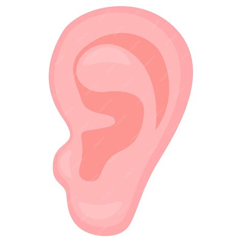 Premium Vector Hearing Organ Vector Design Organ System Human Anatomy
