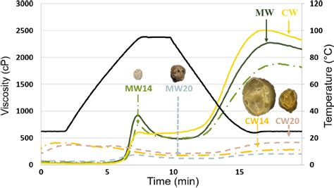 Pasting Properties Of Raw Flours Mw And Cw Represented By Continuous Download Scientific