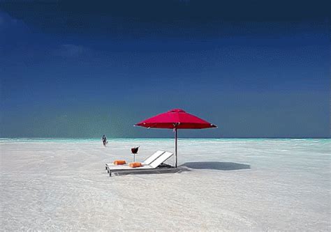 Beach Tropical  Beach Tropical Sea Discover And Share S