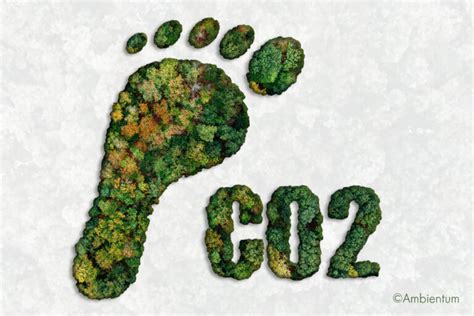 ¿qué Es La Huella De Carbono Ambientum Portal Lider Medioambiente