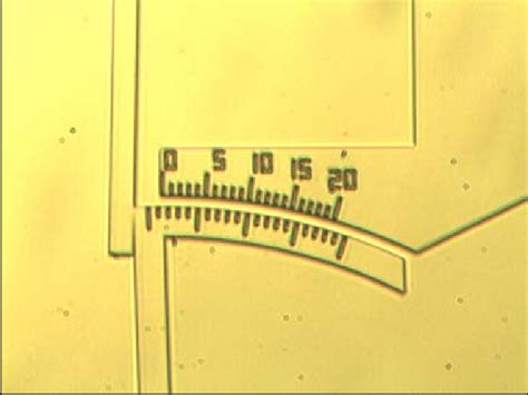 Vernier Scale Attached To The Free Beam Deflecting Against A Cantilever