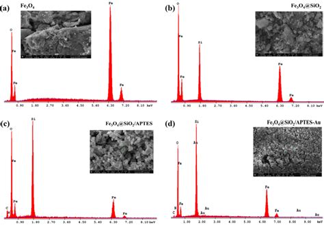 Sem Images And Edx Spectra Of Fe3o4 Fe3o4sio2 Fe3o4sio2aptes And