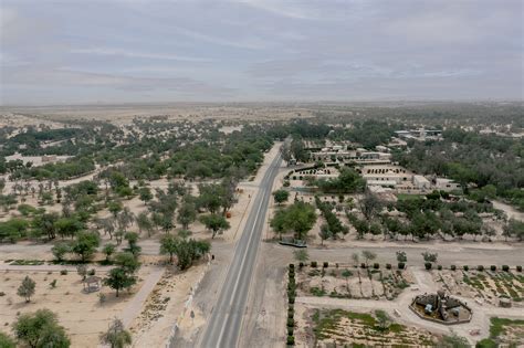 المركز الوطني لتنمية الغطاء النباتي ومكافحة التصحر