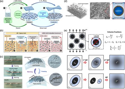 Liquid Metal Droplets In Polymers A Solvent Processability And Download Scientific Diagram