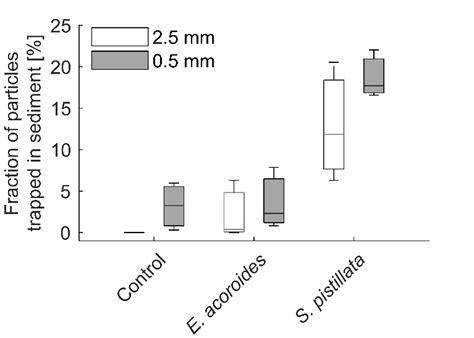 Boxplot Min Max 1 St And 3 Rd Quantiles And Median Of The Fraction