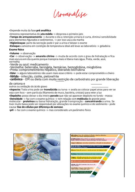 EAS pdf Resumo sobre análise de exame de urina correlações as principais patologias Studocu