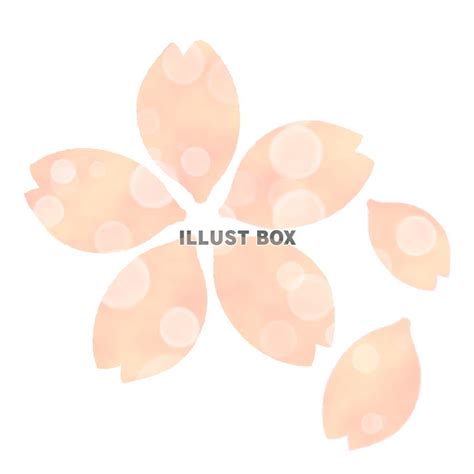無料イラスト 淡い桜と花びら 透過png