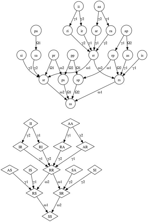 Fawn And Doe Classes Are As In Figure 1 Arrows Indicate Download