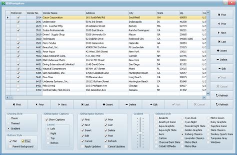 x files components x dbgrid and x dbnavigator components for