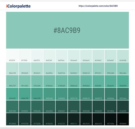 Pantone 333 Cp Color Hex Color Code 8ac9b9 Information Hsl Rgb Pantone