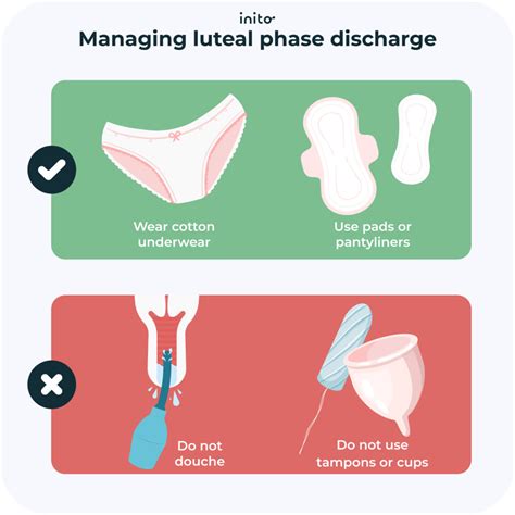 Luteal Phase Discharge What Its Telling You Inito
