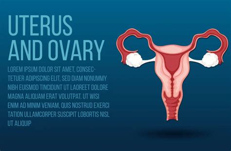 Daprodustat Uses Action Dosage Side Effects And More Bestinmeds