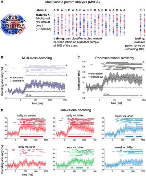 Mvpa Yielded Significant Decoding Starting At 175 Ms And A Close