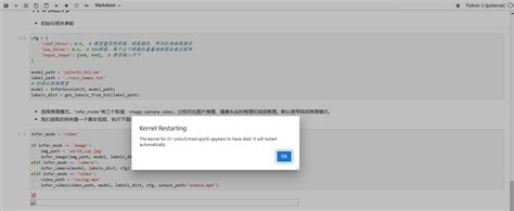 Jupyter Notebook运行多个推理样例后提示kernel Restarting 样例运行 Faq 附录 Atlas 200i Dk