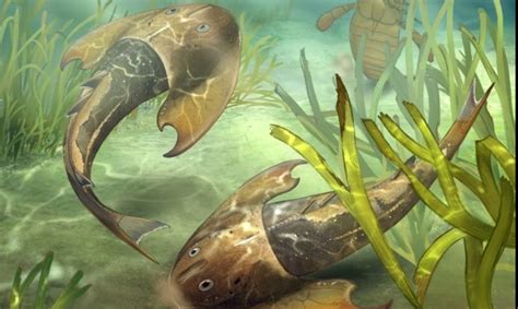 Il Giacimento Di Pesci Fossili In Cina Che Riscrive L Evoluzione