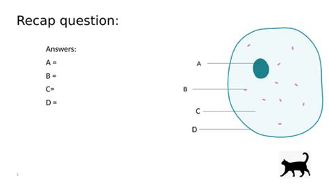 Eukaryotic And Prokaryotic Cells Aqa Gcse F Teaching Resources