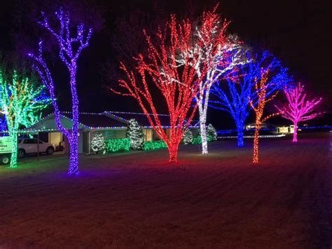 Outdoor Tree Lighting ⋆ Light Up Columbus