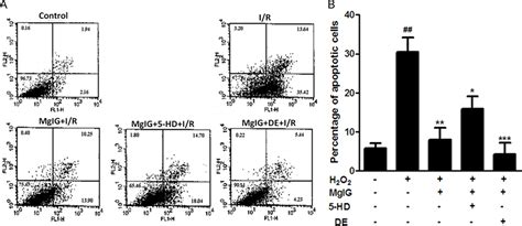 Figure 1 From Magnesium Isoglycyrrhizinate Protects Hepatic L02 Cells