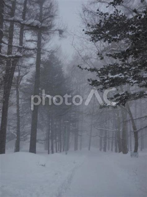 吹雪の円山公園（北海道札幌市） ゴンピンの素材（写真ac）｜ フリー写真素材、北海道、沖縄、台湾など★商用利用可★無料でダウンロードできます