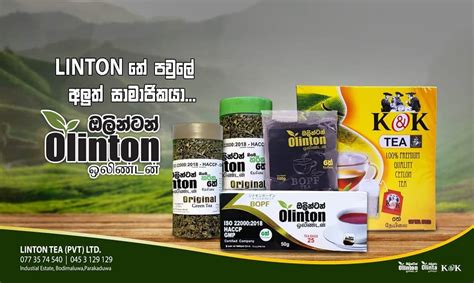 Ceylon Politix “බුරවි“ සුළි කුණාටුව ත්‍රිකුණාමලය සහ පේදුරු තුඩුව