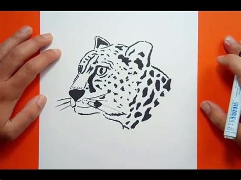 Como Dibujar Un Leopardo Paso A Paso How To Draw A Leopard Youtube