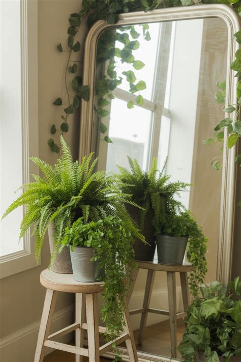 Using Mirrors To Make Small Plant Corners Feel Larger And Brighter