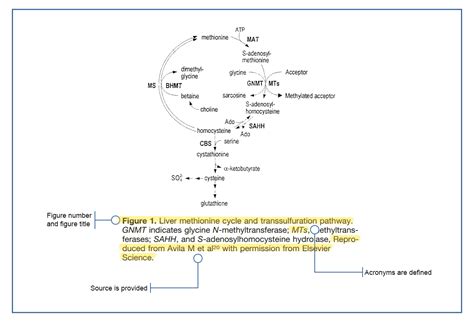 what is a figure legend example at minh boser blog