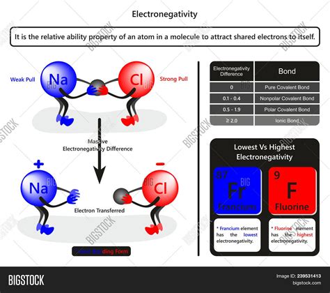 Electronegativity Image And Photo Free Trial Bigstock