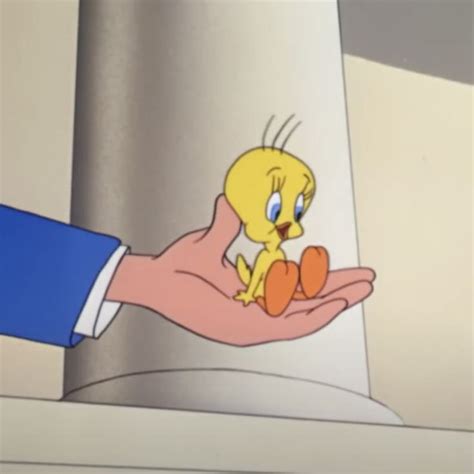 Tweety Bird Vintage Cartoon Disney Cartoons Tweety