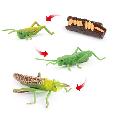 Plastic Simulation Nature Grasshopper Growth Figur Vicedeal