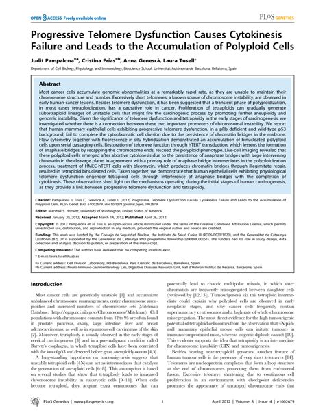 Pdf Progressive Telomere Dysfunction Causes Cytokinesis Failure And