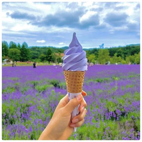 라벤더 아이스크림 지니어트 커뮤니티