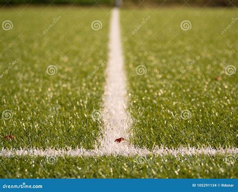 Playfield Border Closeup View To White Lines On Football Playground