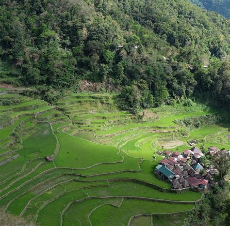 Bangaan Ifugao Rice Terraces All You Should Know Before You Go 2026