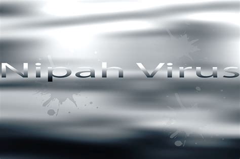 Nipah Virus Infection Adalah Zoonosis Virus Yang Disebabkan Oleh Virus