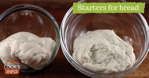 Starters For Bread Cooksinfo