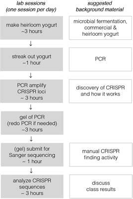 Yogurt Vs Yoghurt What S The Difference Writing Explainedwriting Explained