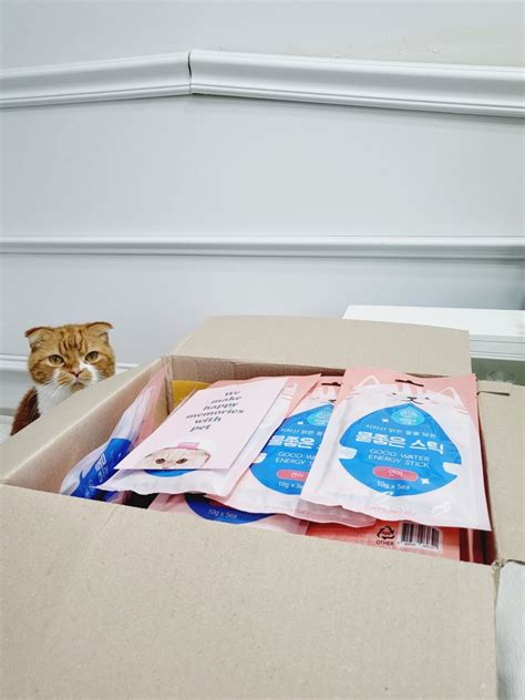 고양이 츄르 추천 네이버펫에서 고른 캣츠모리 고양이간식 네이버 블로그