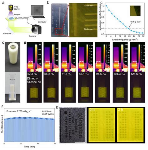 Overall Schematics IMAGE EurekAlert Science News Releases