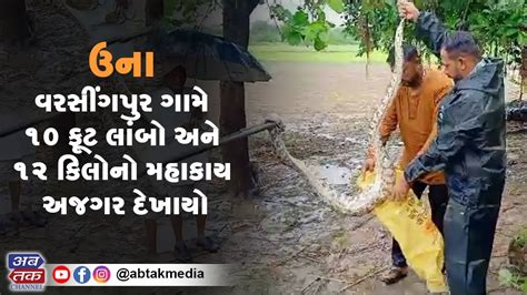 ઉના વરસીંગપુર ગામે 10 ફૂટ લાંબો અને 12 કિલોનો મહાકાય અજગર દેખાયો Youtube