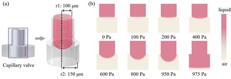 Numerical Simulation Of Critical Burst Pressure Of Capillary Valve A Download Scientific
