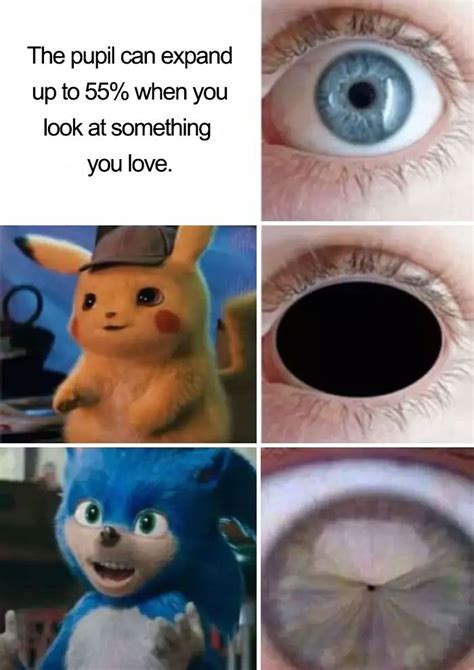 Live Action Sonic The Hedgehog Memes Artofit