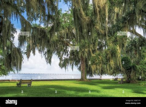 New Orleans Lakefront Park Kayak Launch Opens In Metairie As Part Of
